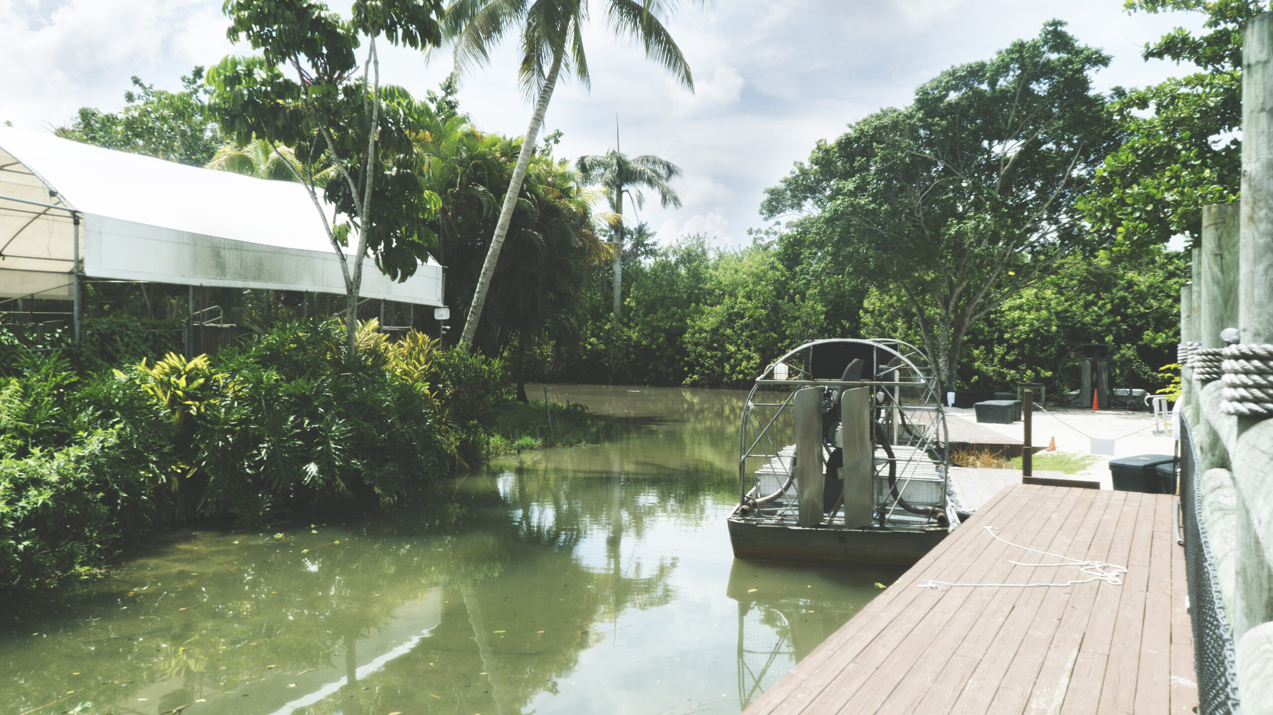 Les Everglades et Alligator Farm en Floride - EATMYTRAVEL